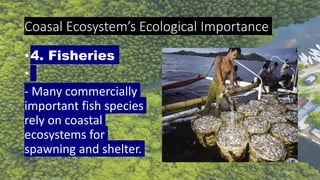 UNDERSTANDING Coastal Ecosystem.pptx