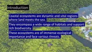 UNDERSTANDING Coastal Ecosystem.pptx