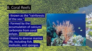 UNDERSTANDING Coastal Ecosystem.pptx