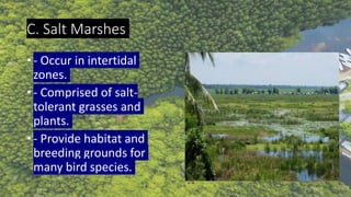 UNDERSTANDING Coastal Ecosystem.pptx