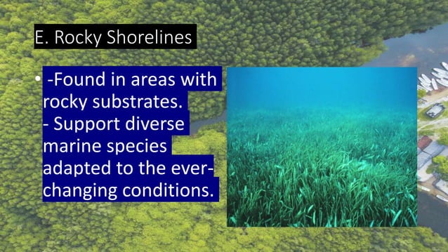 UNDERSTANDING Coastal Ecosystem.pptx