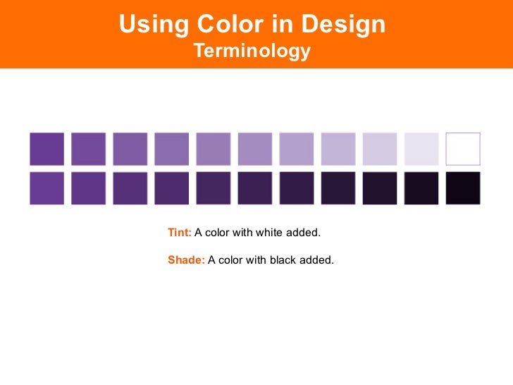 Understanding Color