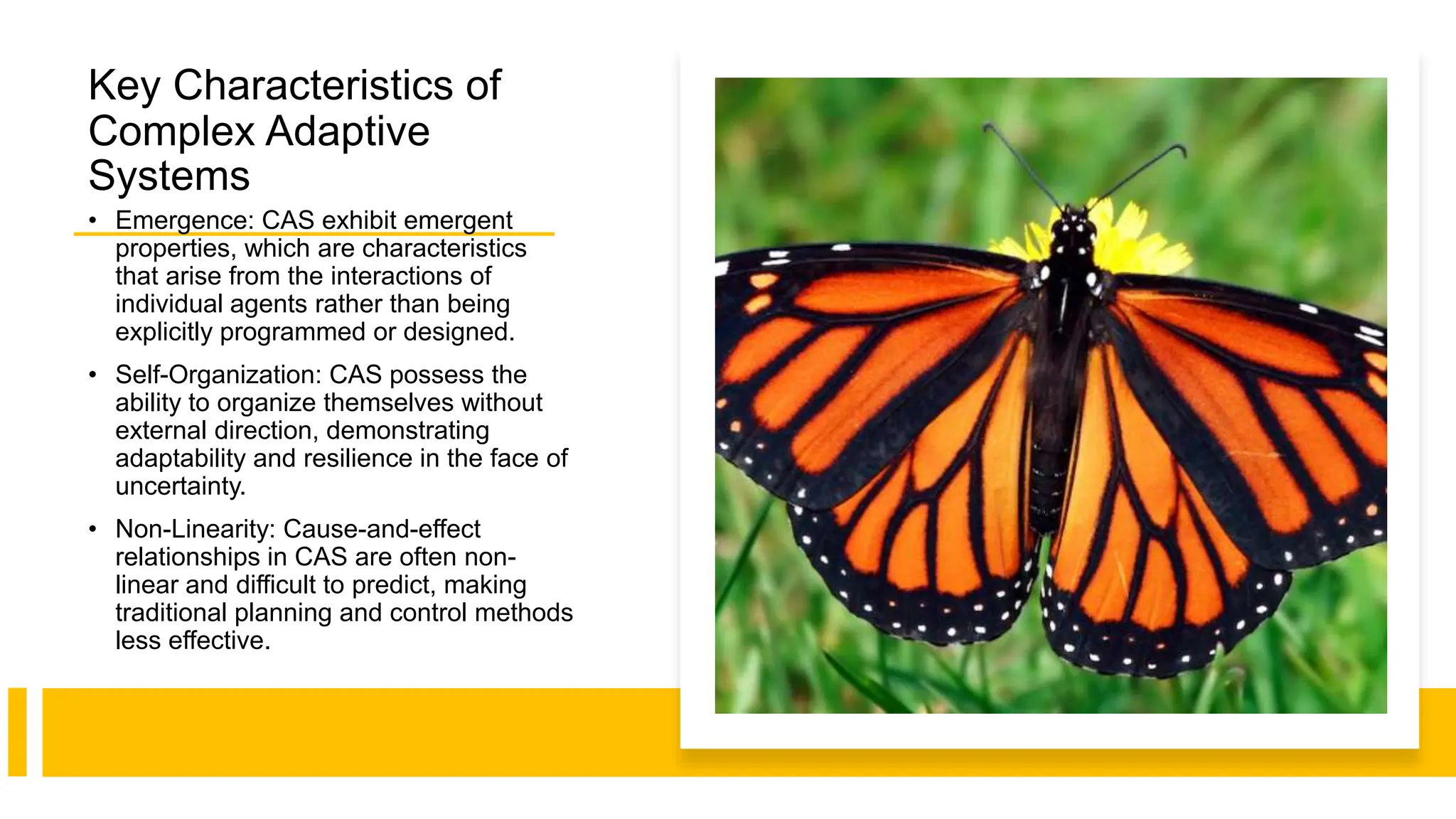 Understanding Complex Adaptive Systems and Integral.pptx