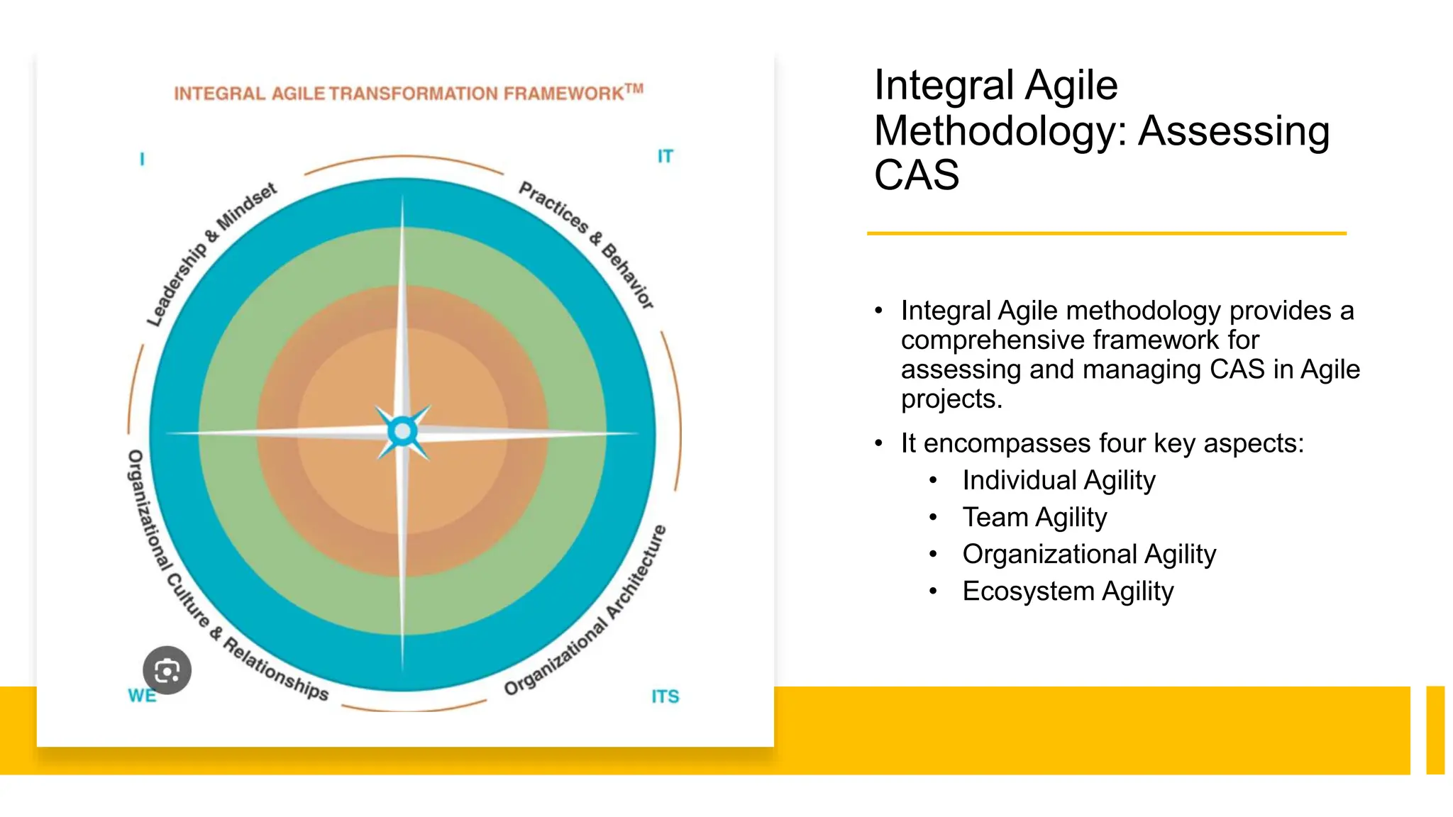 Understanding Complex Adaptive Systems and Integral.pptx