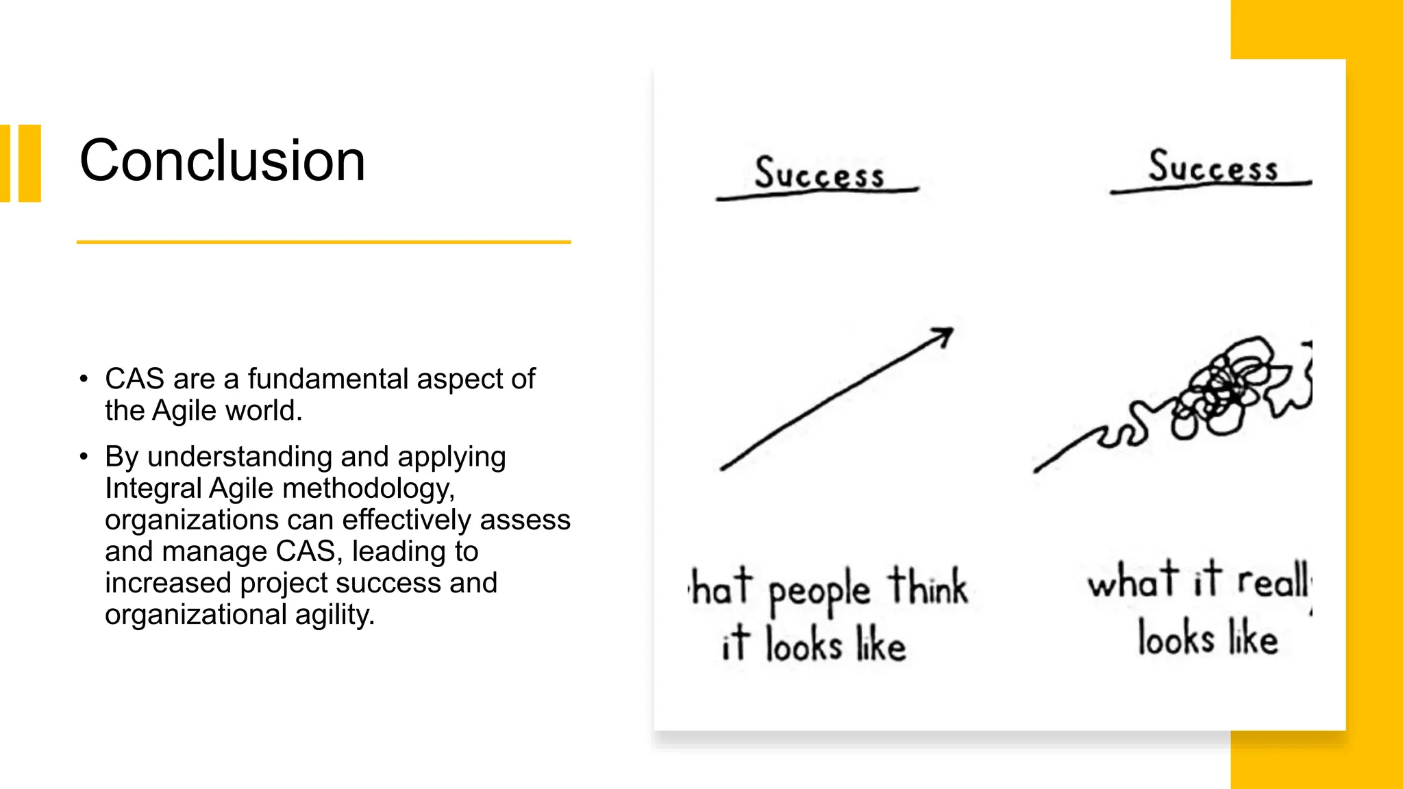 Understanding Complex Adaptive Systems and Integral.pptx