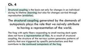 Understanding Computers And Cognition Pdf