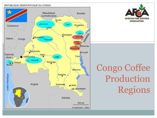 Understanding congo's coffee ; the RDC coffee county profile | PPTX