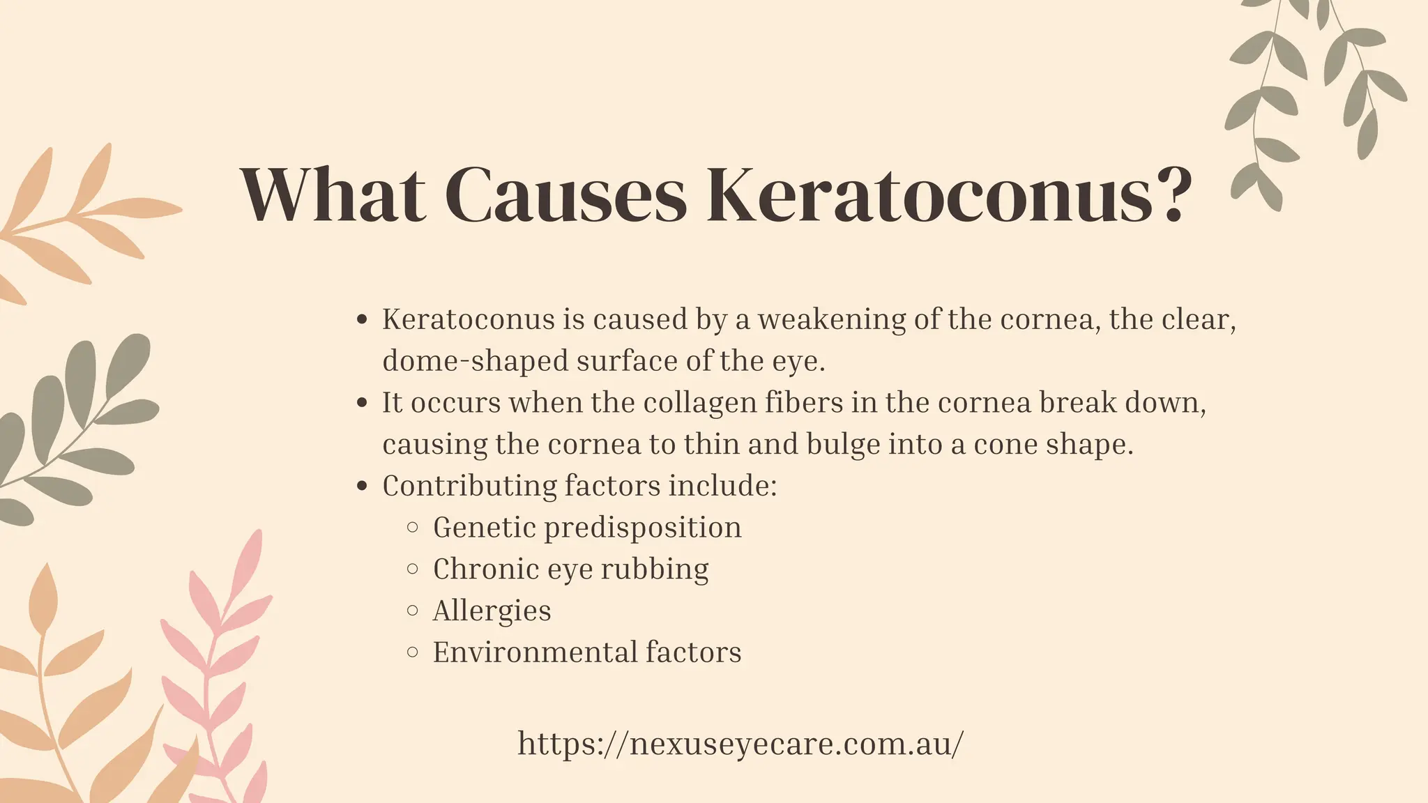 Understanding Corneal Cross Linking For Keratoconuspdf
