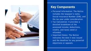 Understanding CRA Notice of Assessment | PDF