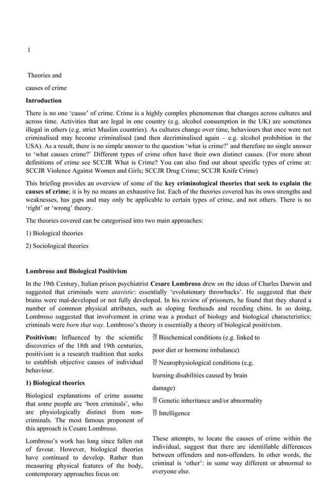 Understanding Criminology and its concepts.docx