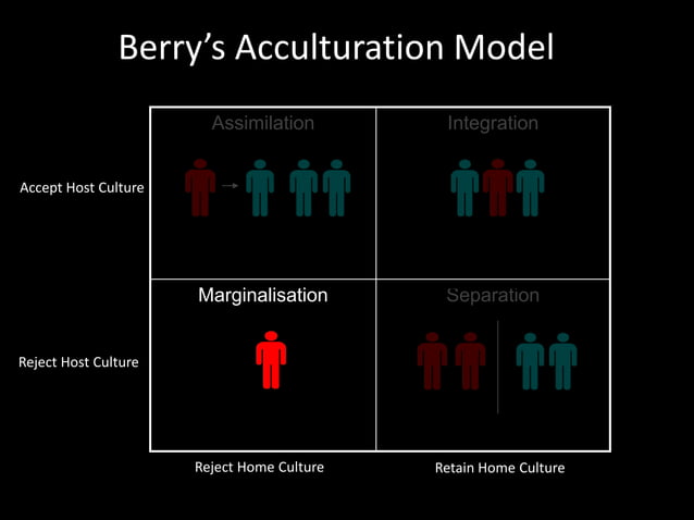 Understanding cross cultural adjustment and acculturation theories ...