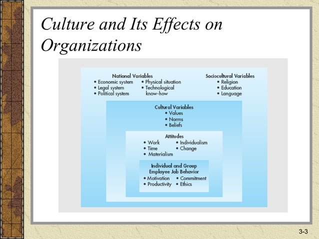 Understanding culture | PPT