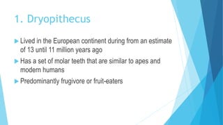 Understanding Culture, Society and Politics - Biological Evolution | PDF