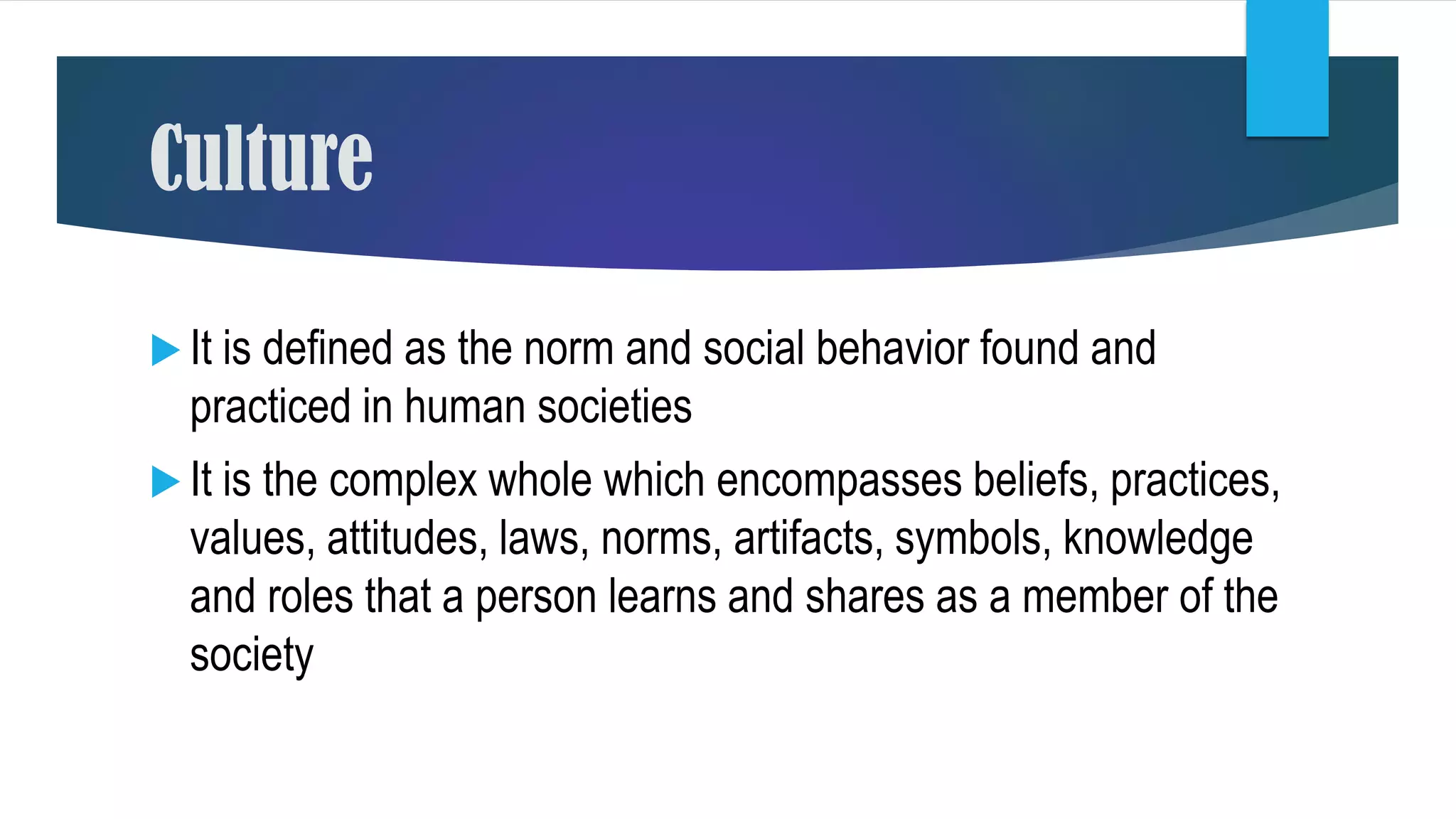 Understanding Culture, Society and Politics - Culture and Society | PDF