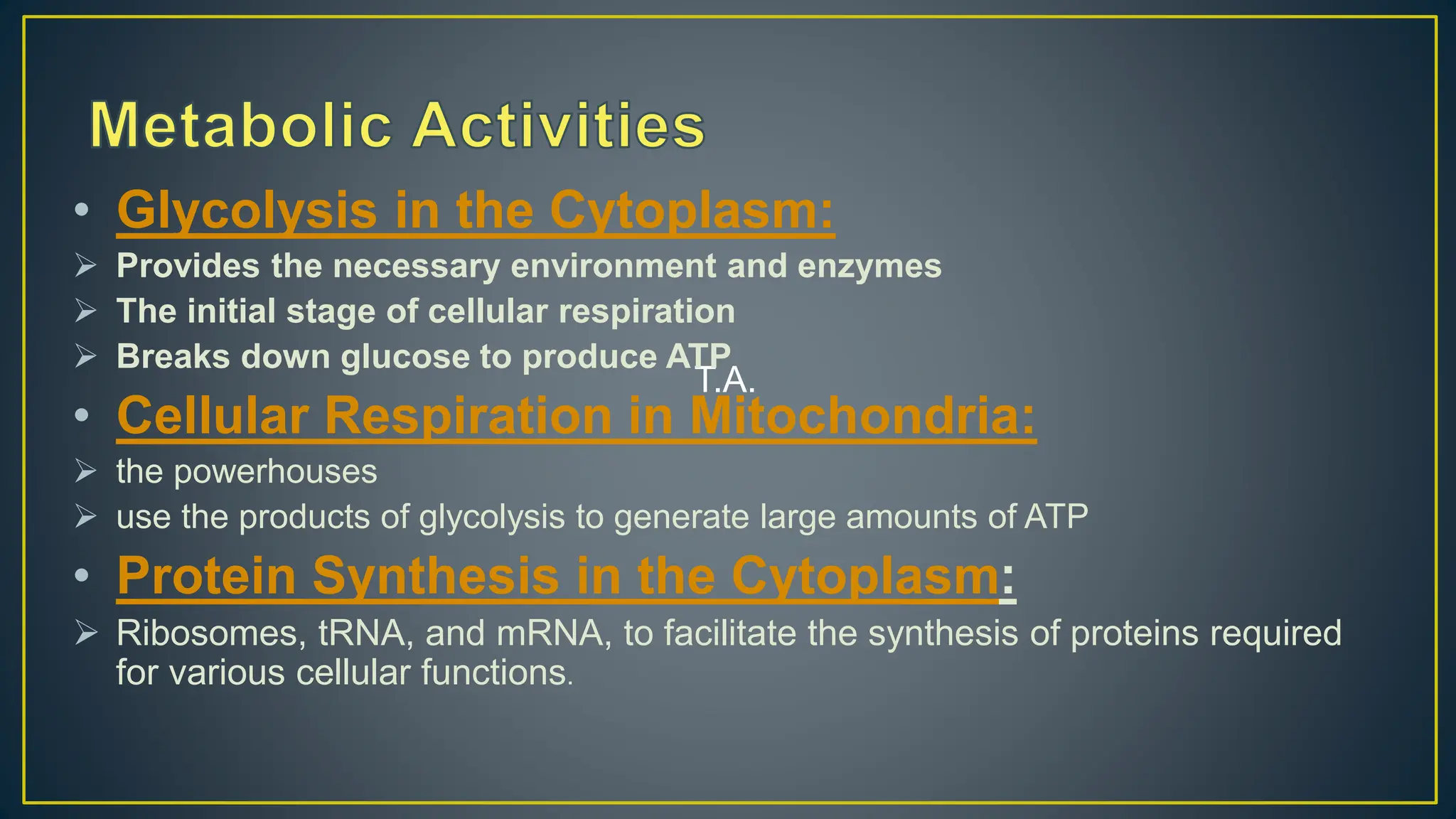 Understanding Cytoplasm and Organelles 1.pptx