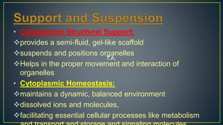 Understanding Cytoplasm and Organelles 1.pptx
