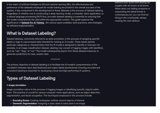 Understanding Dataset Labeling for AI Training A Complete Guide.pdf