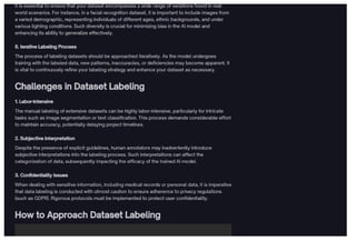 Understanding Dataset Labeling for AI Training A Complete Guide.pdf