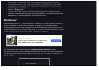 Understanding Dataset Labeling for AI Training A Complete Guide.pdf