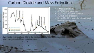 Extinction Rebellion: Understanding, declaring and acting upon a ...