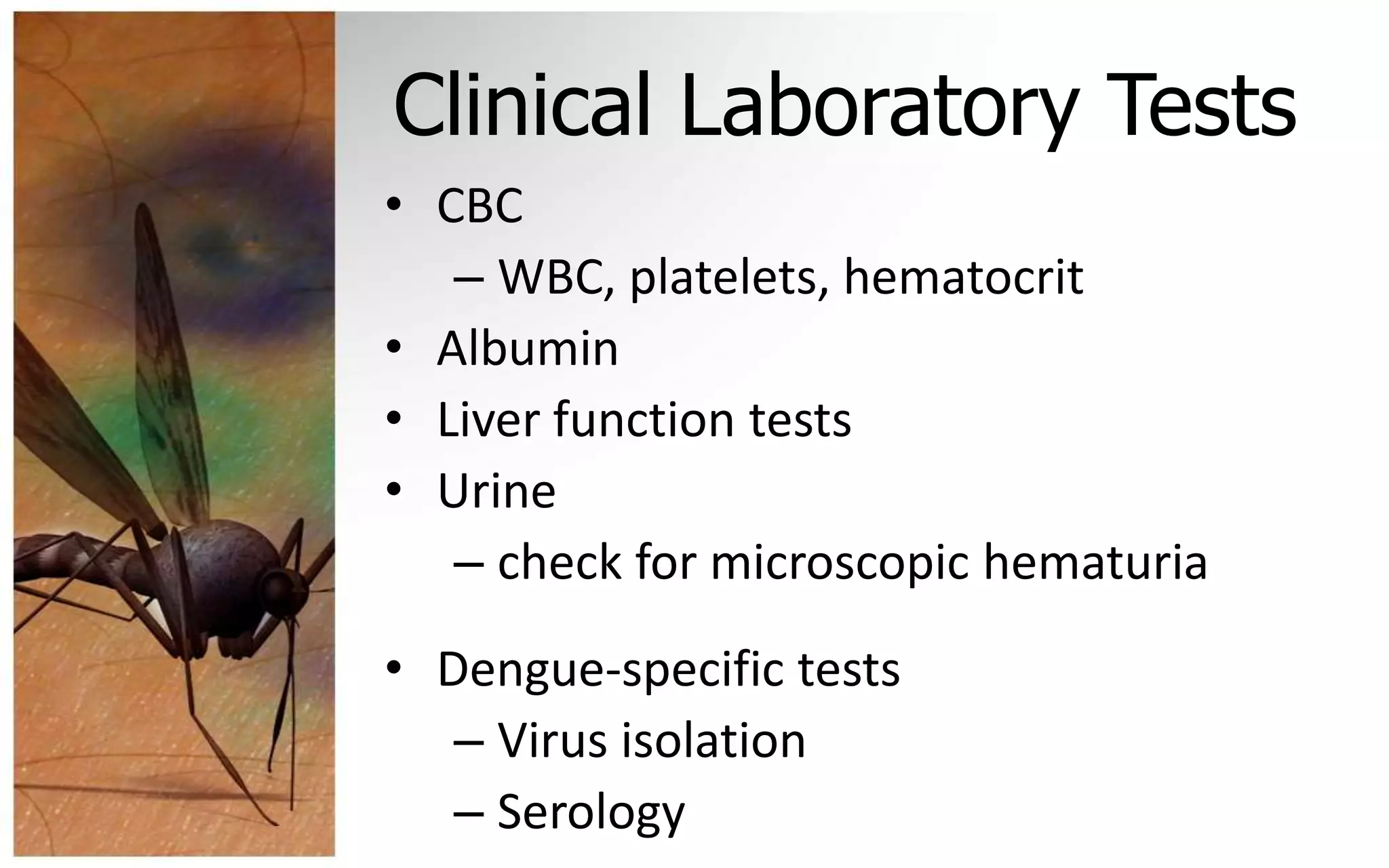 Understanding dengue | PPTX