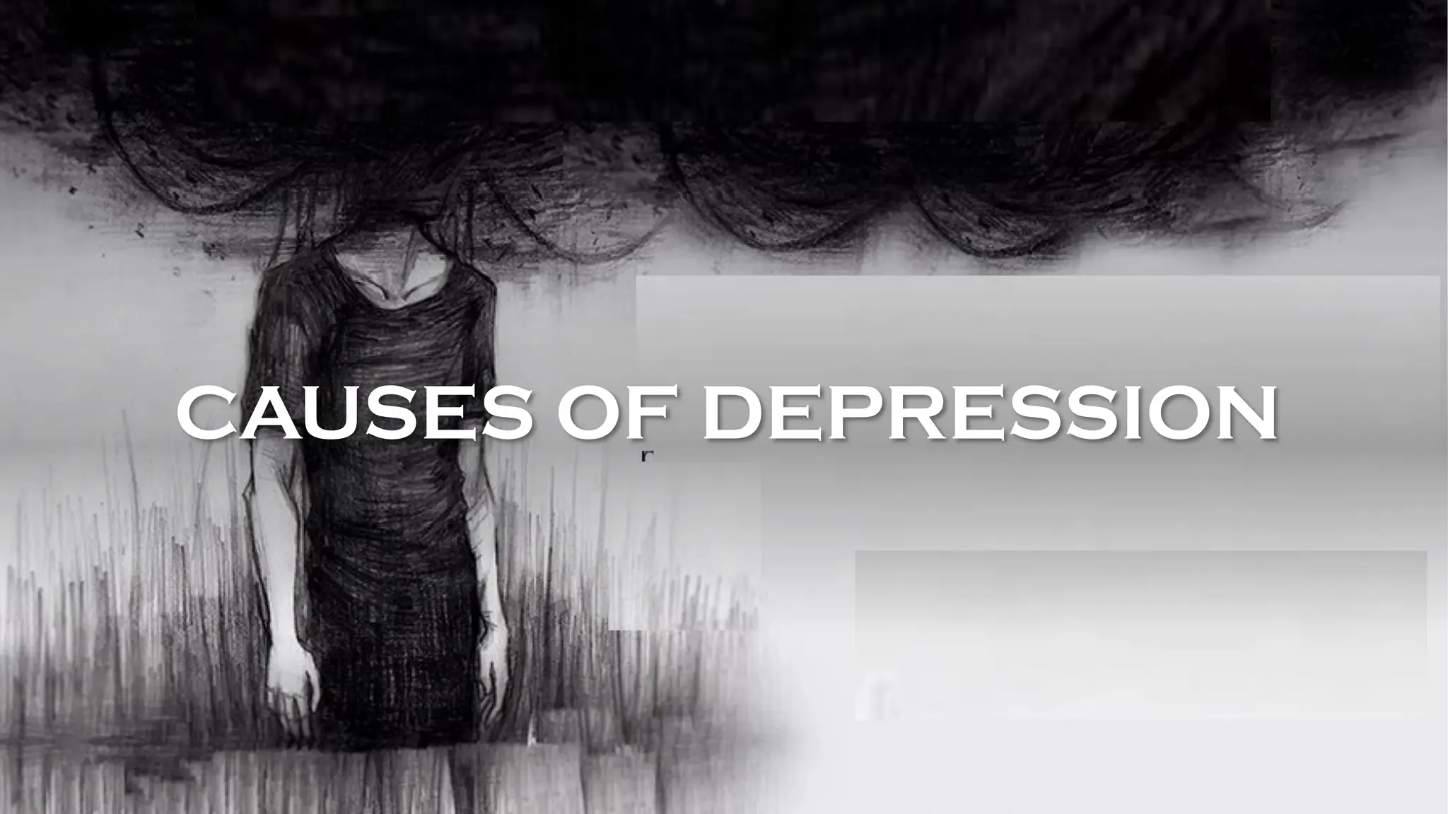 Understanding Depression - Causes, Effects & Coping Strategies - Idowu Omisile (NIM).pdf
