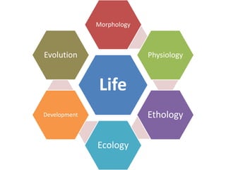 Understanding design through biology | PPTX