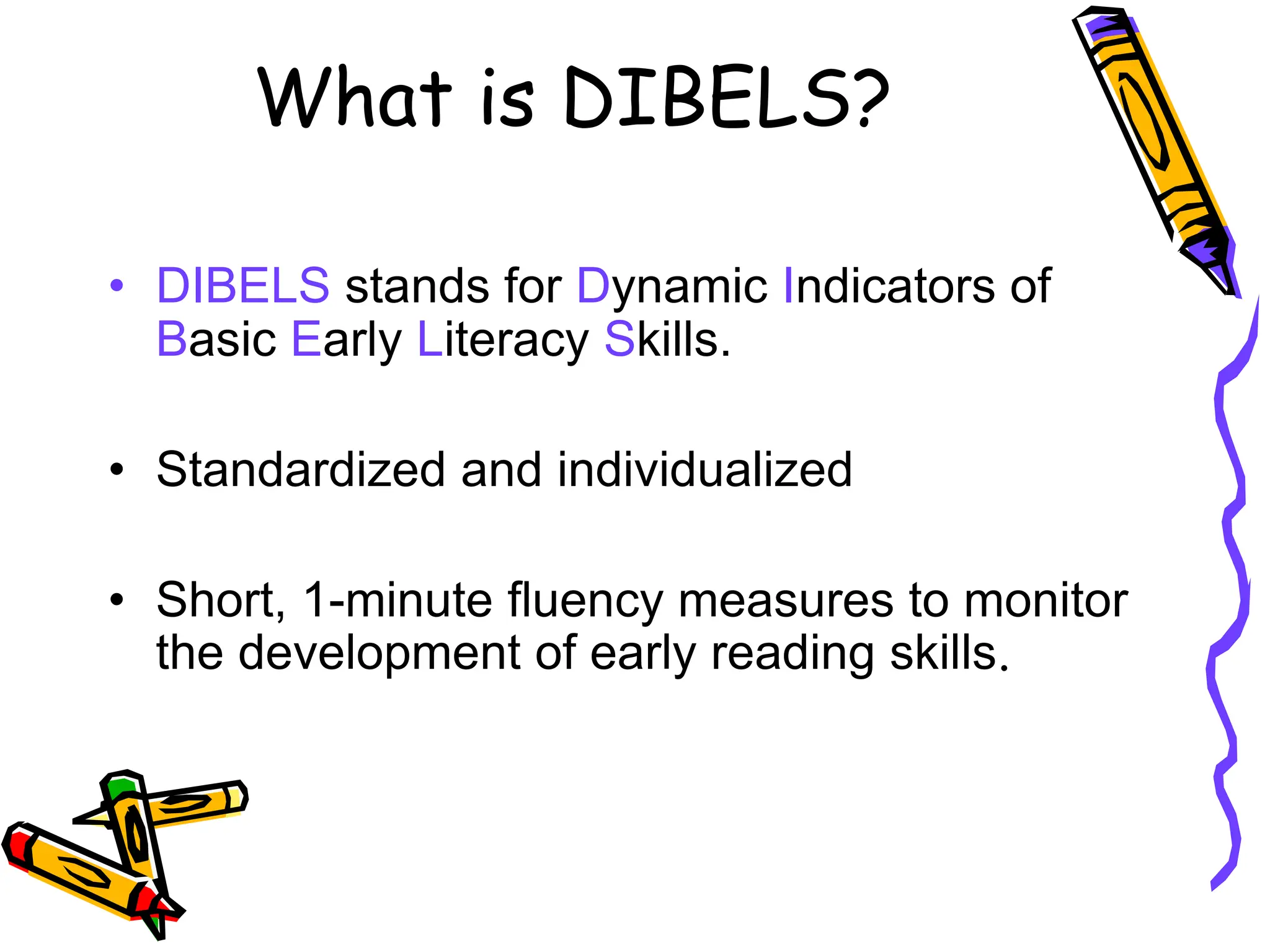 Understanding the DIBELS assessments.ppt