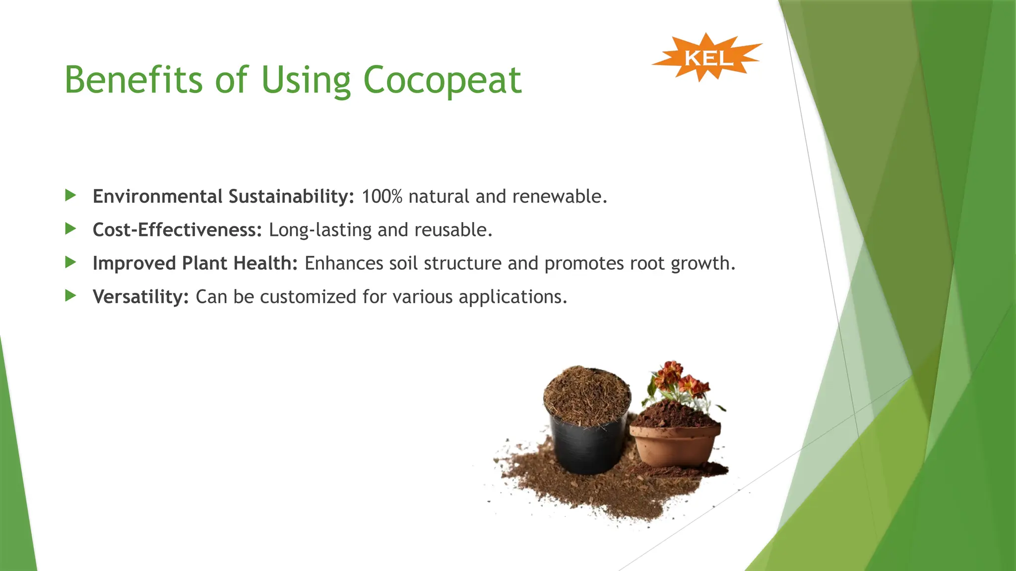Understanding Different Grades of Cocopeat and Their Uses.pptx