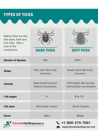 Understanding Different Types of Ticks - canadavetexpress.pdf