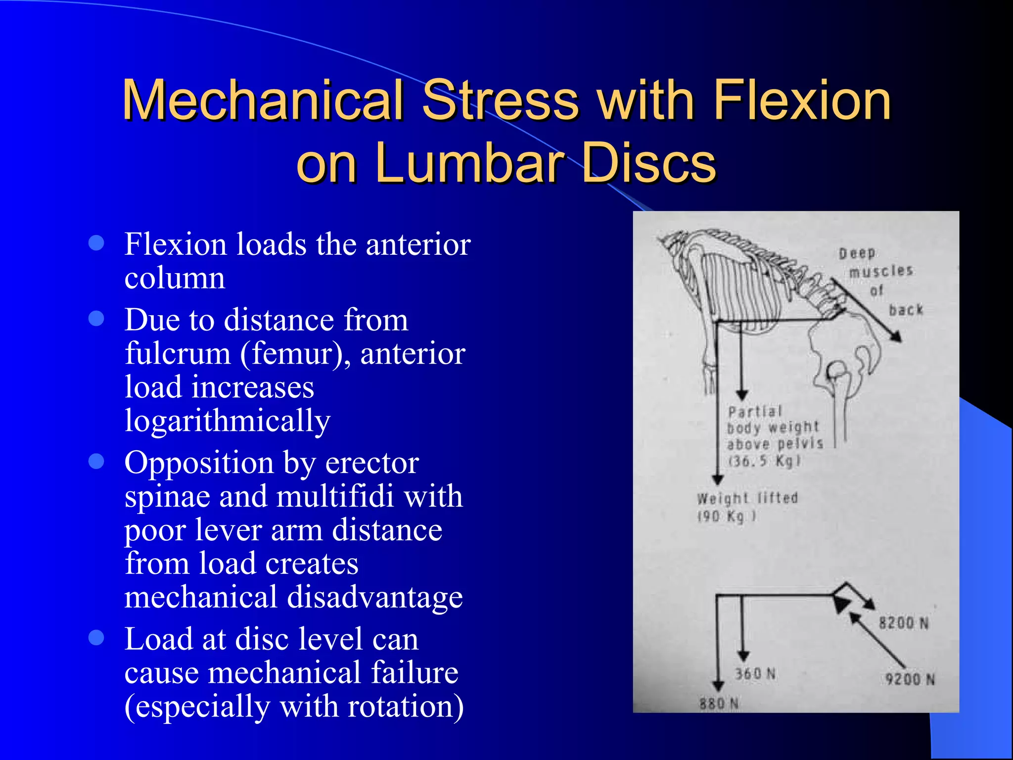 Understanding disorders of the spine| anatomy of the spine | chronic ...