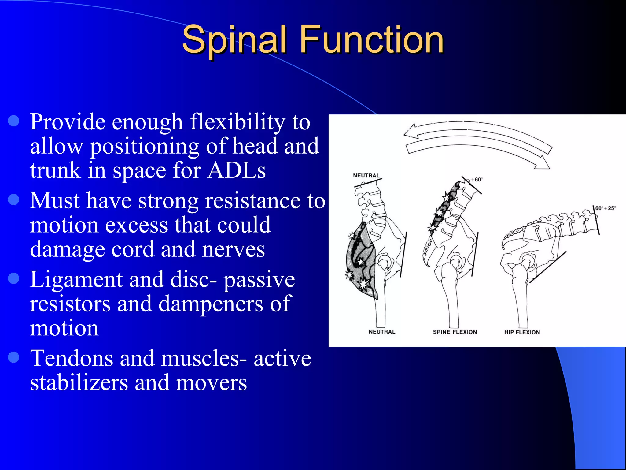 Understanding disorders of the spine| anatomy of the spine | chronic ...