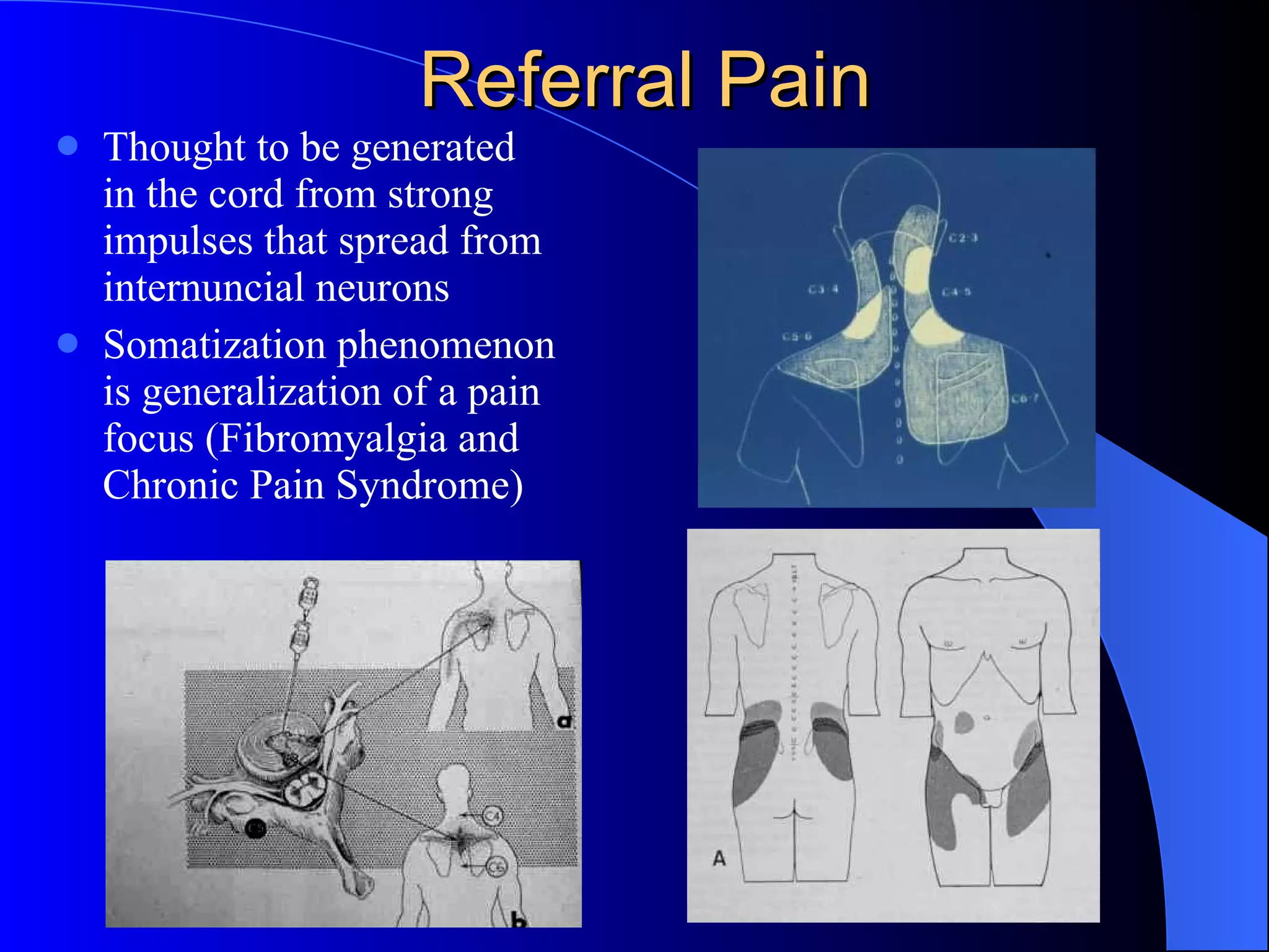 Understanding disorders of the spine| anatomy of the spine | chronic ...