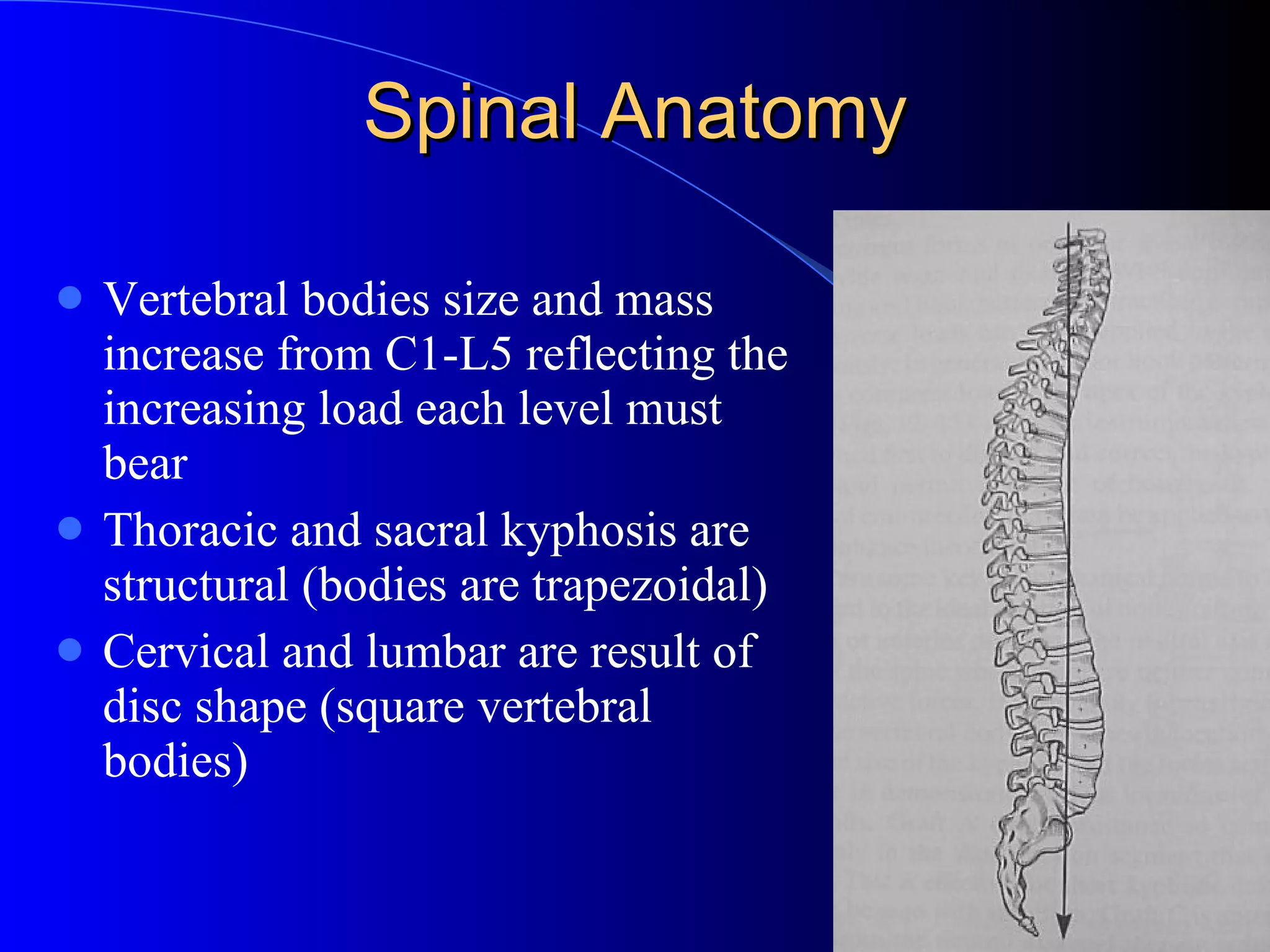 Understanding disorders of the spine| anatomy of the spine | chronic ...