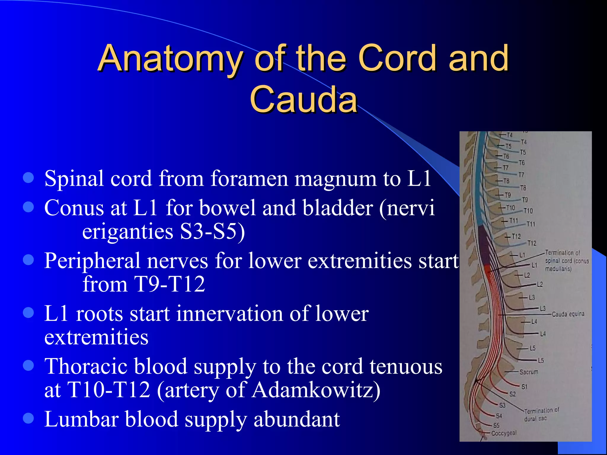 Understanding disorders of the spine| anatomy of the spine | chronic ...
