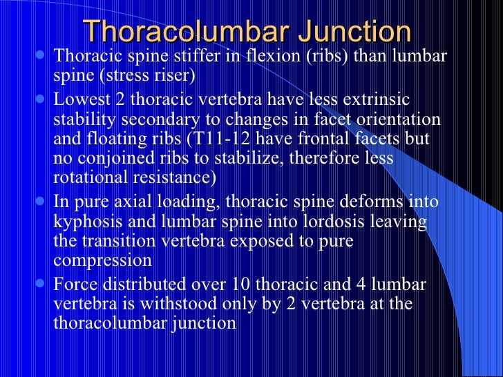 Thoracolumbar Junction Anatomy