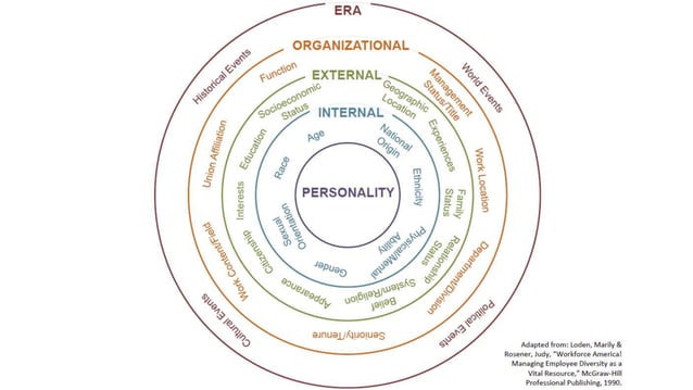 Understanding Diversity What is Diversity | PPTX