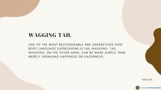 Understanding Dog Behavior How to Read Your Dog’s Body Language.pdf