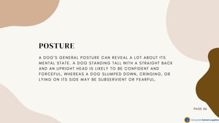 Understanding Dog Behavior How to Read Your Dog’s Body Language.pdf