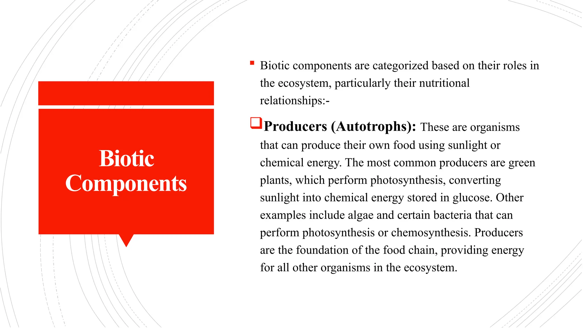 Understanding Ecosystems: Structure, Components, and Functions..pptx | Biological Sciences | Science