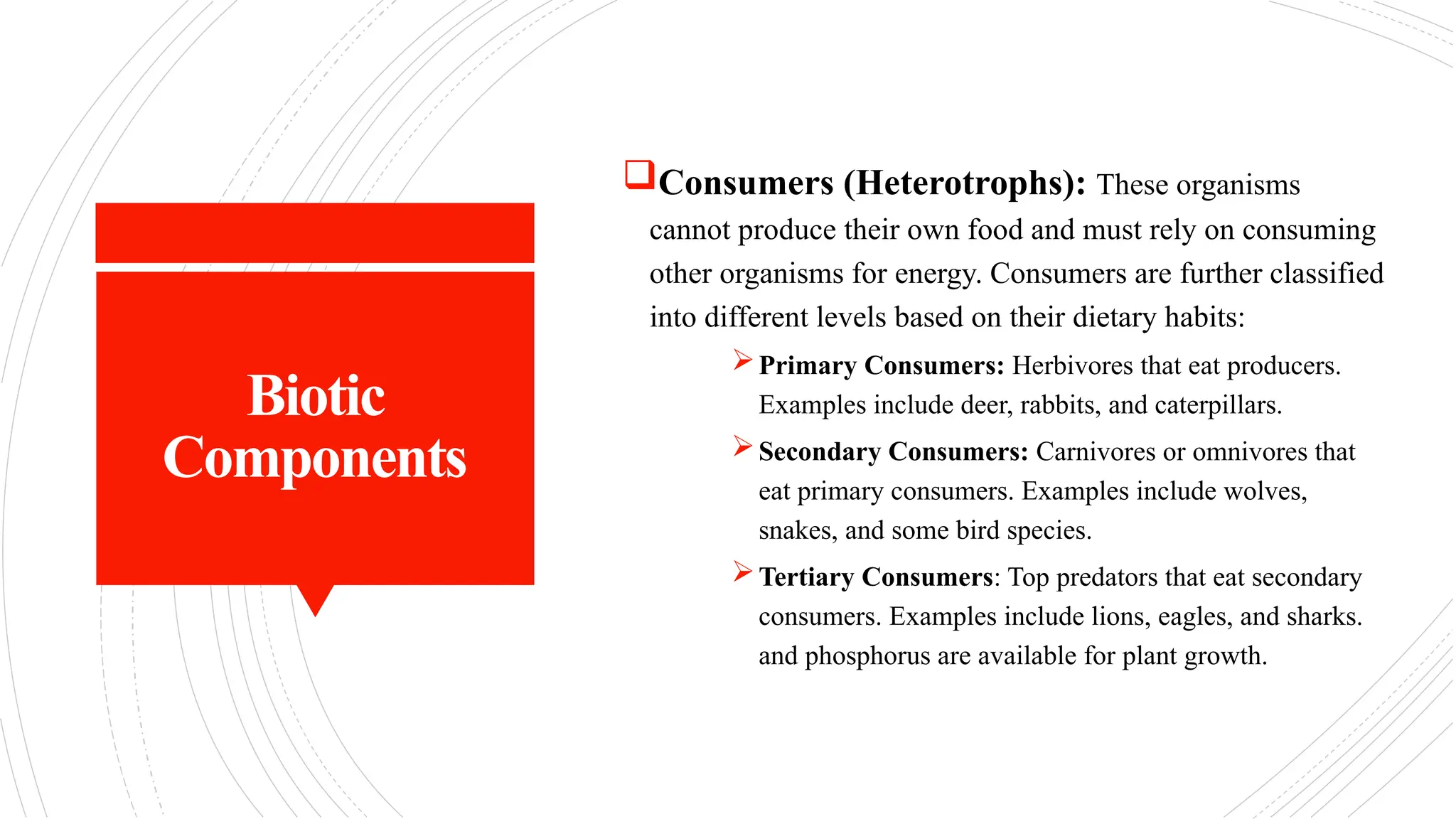Understanding Ecosystems: Structure, Components, and Functions..pptx
