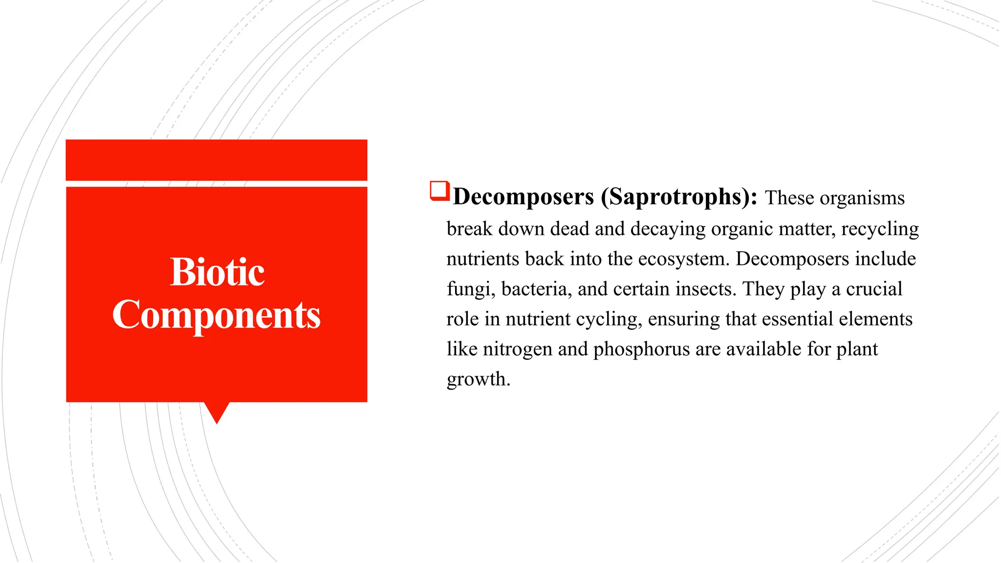 Understanding Ecosystems Structure Components And Functionspptx Biological Sciences Science