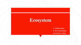 Understanding Ecosystems: Structure, Components, and Functions..pptx ...