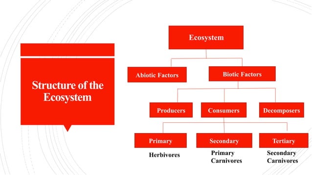 Understanding Ecosystems: Structure, Components, and Functions..pptx