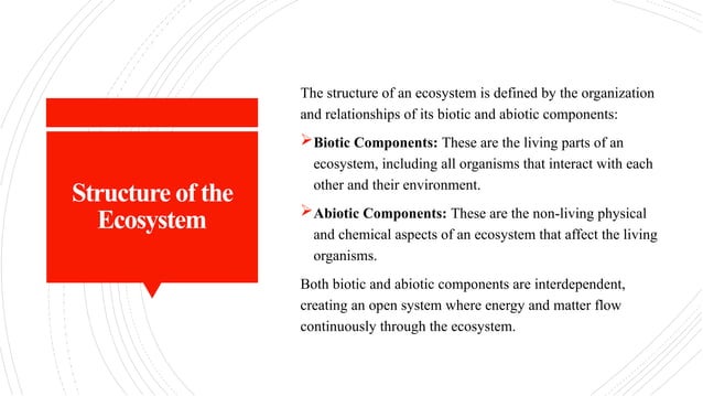 Understanding Ecosystems Structure Components And Functionspptx Biological Sciences Science