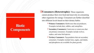 Understanding Ecosystems: Structure, Components, and Functions..pptx ...