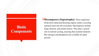 Understanding Ecosystems: Structure, Components, and Functions..pptx ...