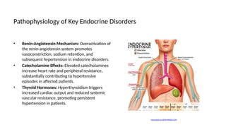 Understanding Endocrine Hypertension.pptx