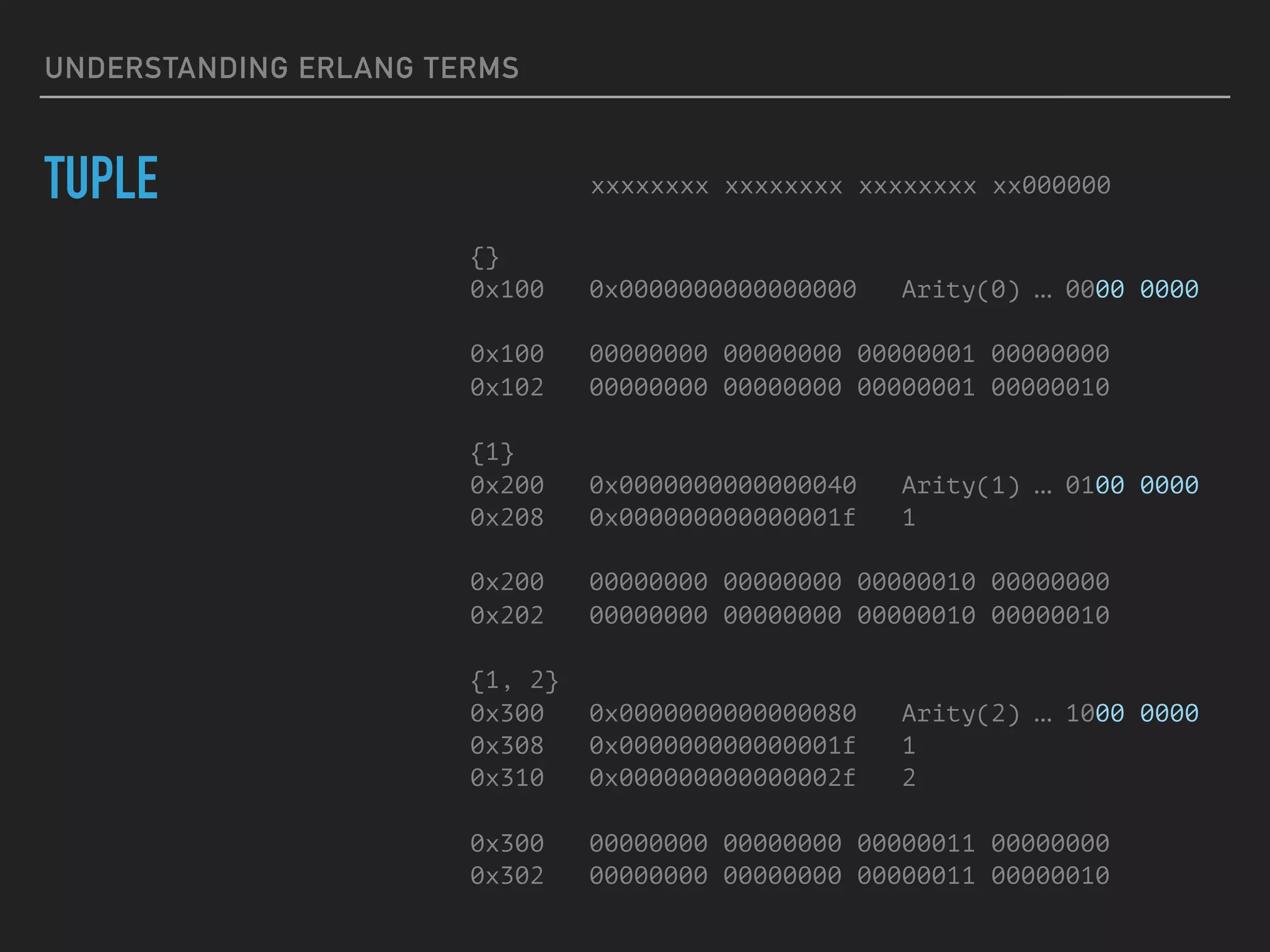 Understanding Erlang Terms | PDF