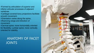 Understanding Facet Joints of the Spine.pptx